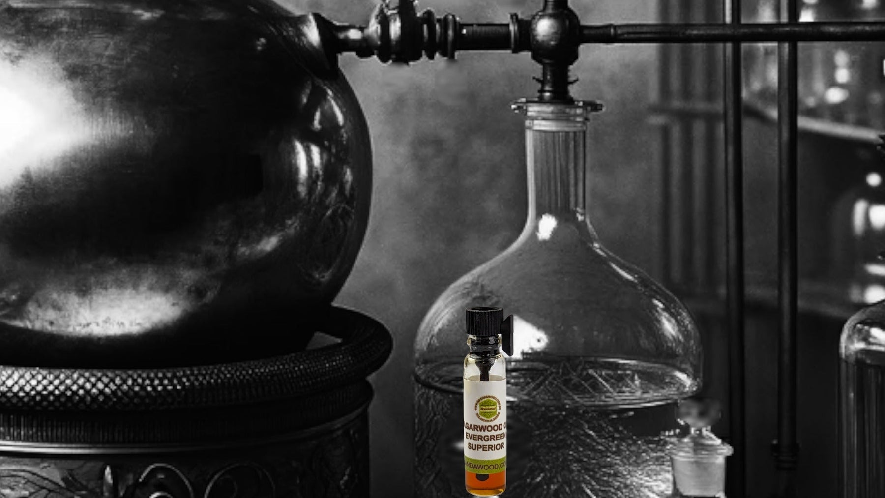 Pure Agarwood Oil - Grandawood- Agarwood