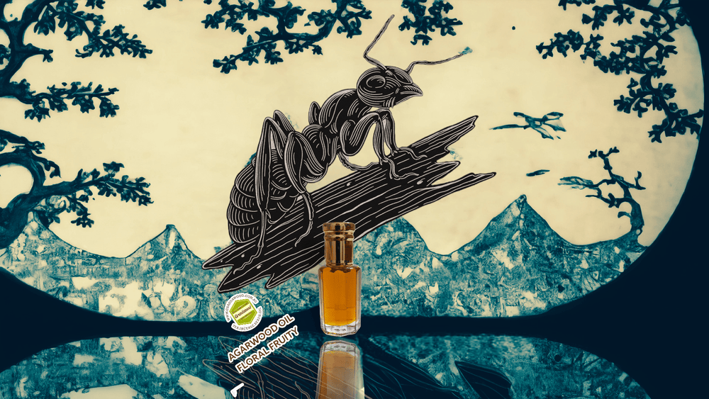 Pure Agarwood Oil - Grandawood- Agarwood