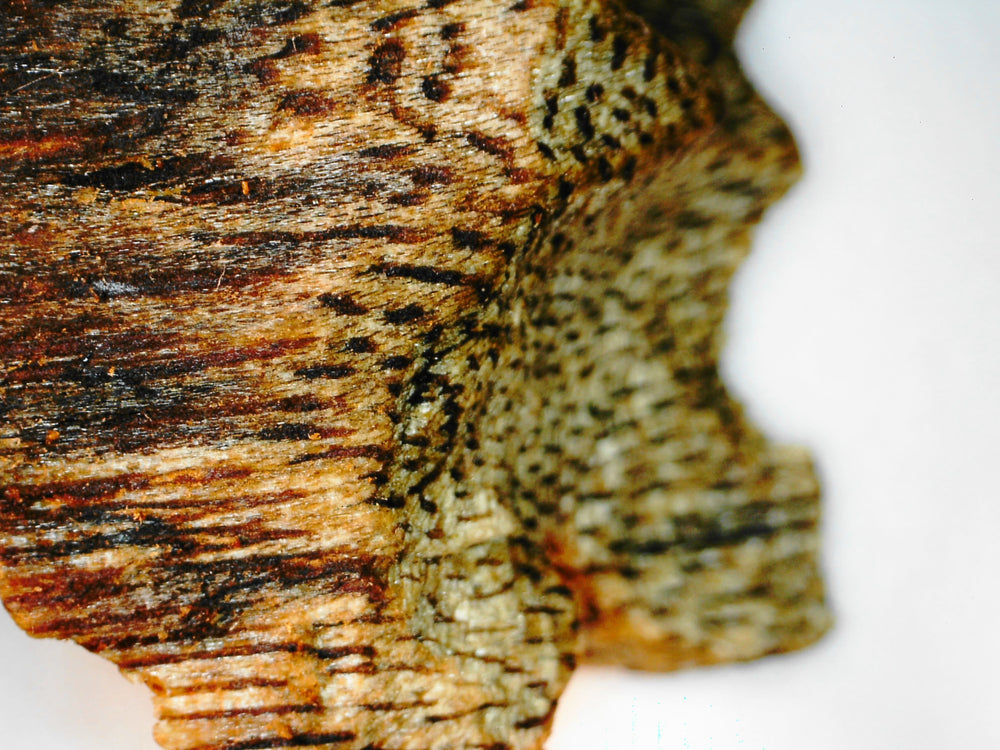 *New* White Kygarwood from Sustainable Premium Ky Nam Wood - Grandawood ...
